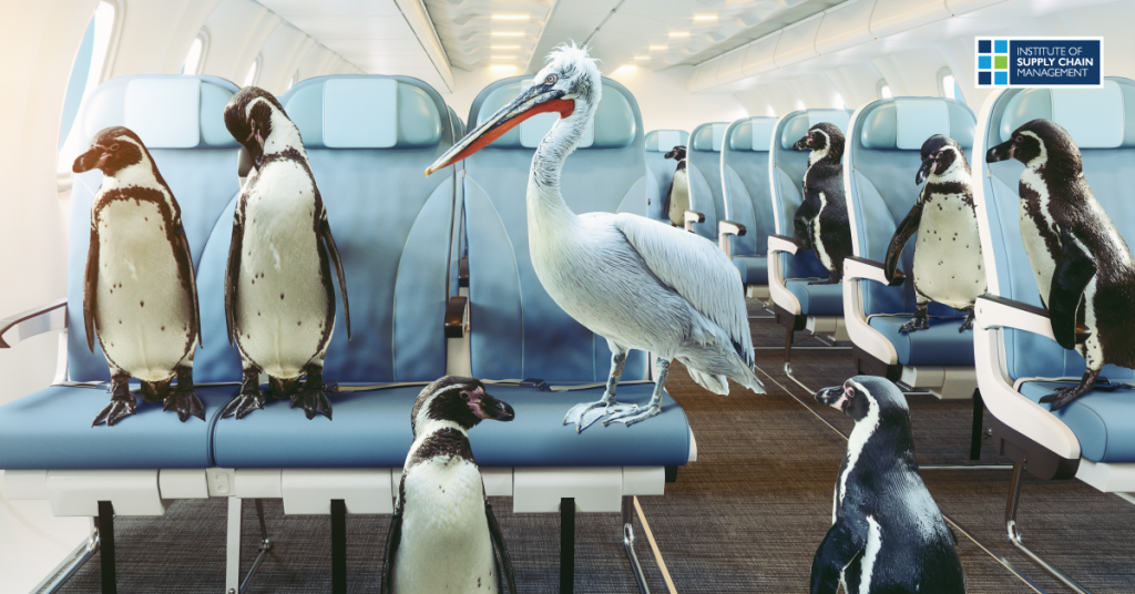 From A-Z How Animal's are transported safely around the world