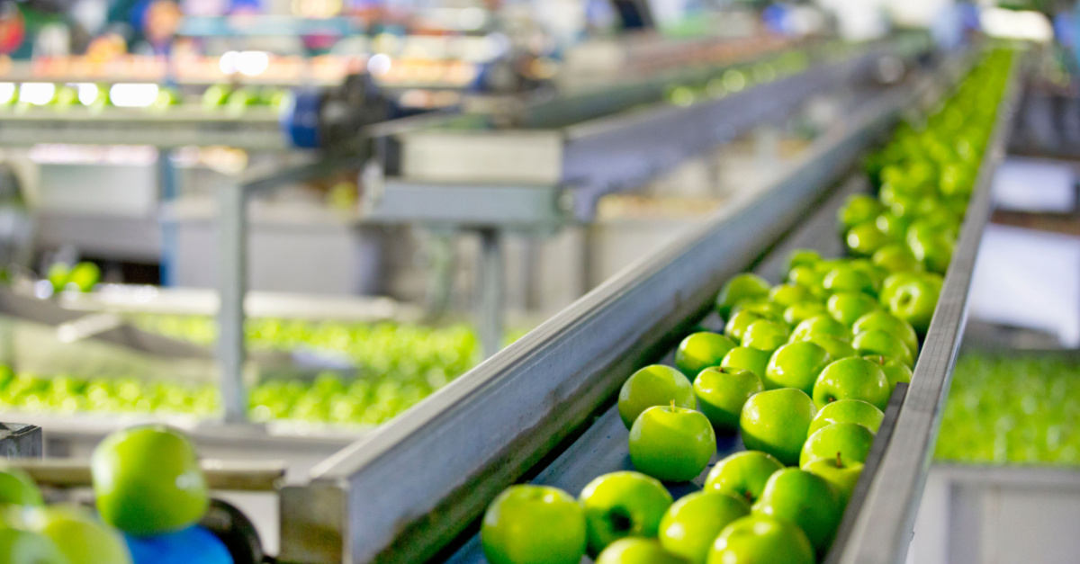 Logistics for food suppliers are critical for successful supply chains