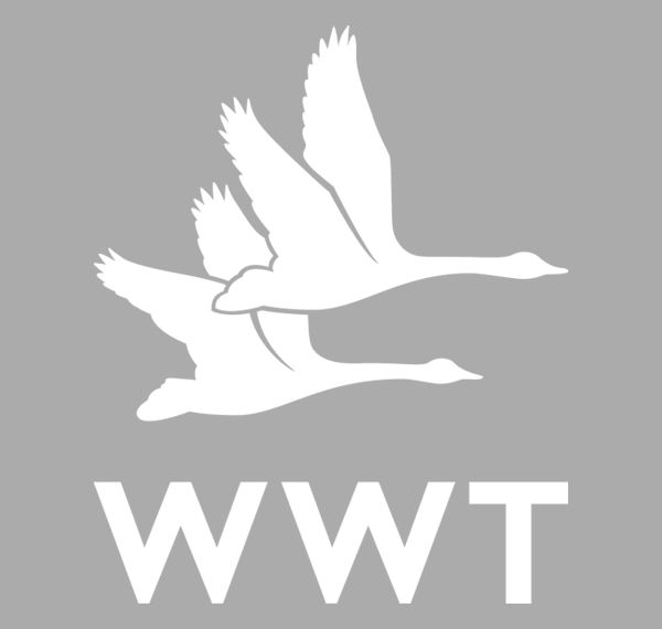 wwt-logo-final - Institute of Supply Chain Management