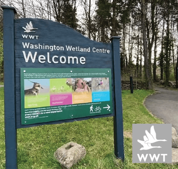 wwt_logo_final - Institute of Supply Chain Management