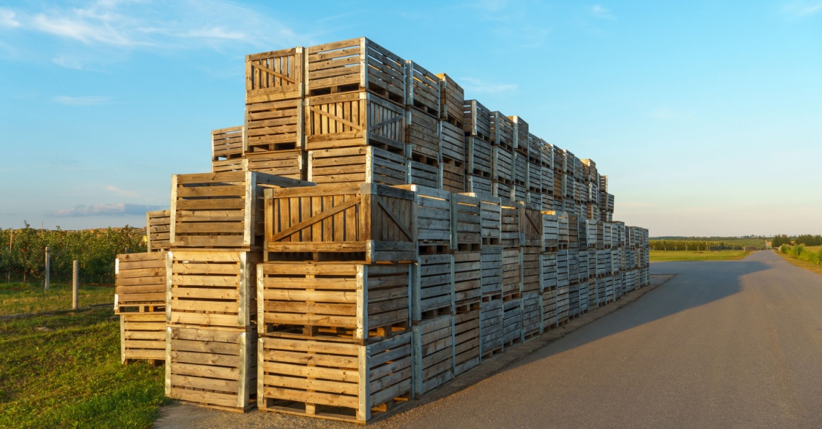 5 Benefits of Using Timber Crates in Supply Chain Logistics